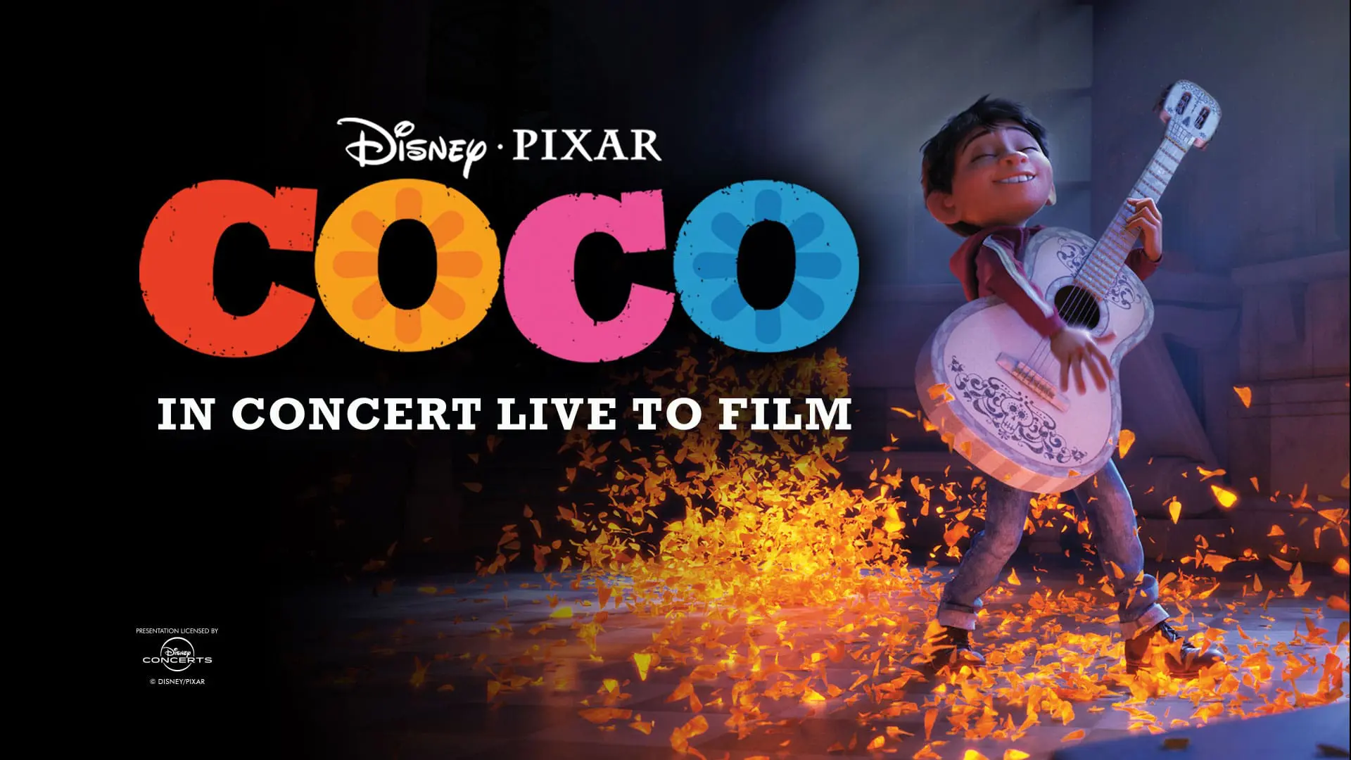 Coco Video Interviews - The Madison Symphony Orchestra